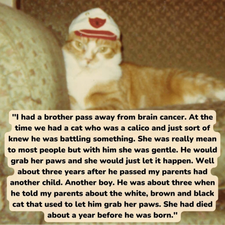 In Another Life: People Who Claim Past Life Memories Share Their Eerie ...